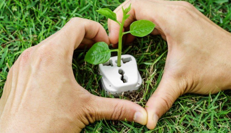 Adjustment feed-in tariffs renewable electricity generation 2016 ...